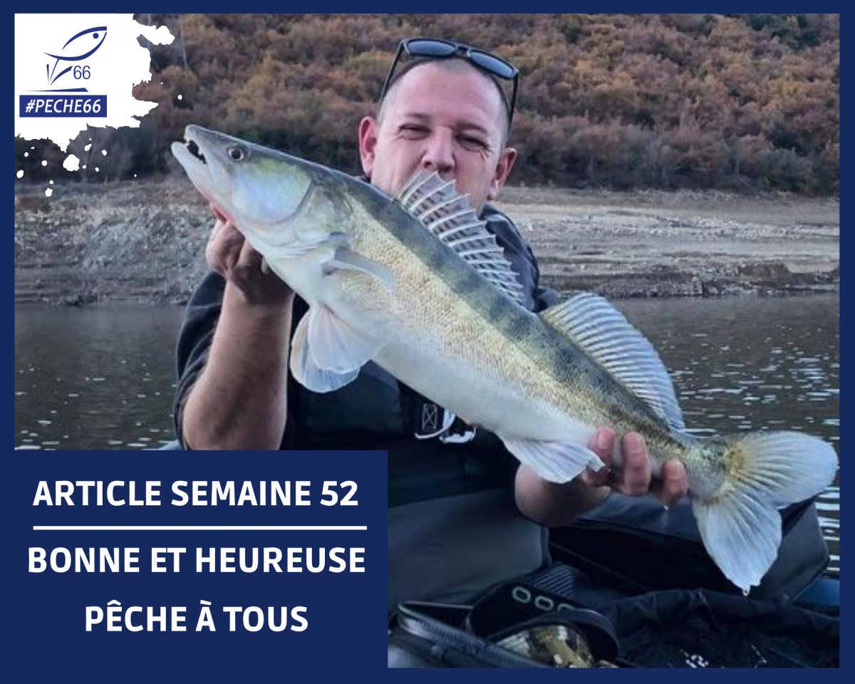 Bonne et heureuse pêche à tous | Fédération des Pyrénées Orientales ...